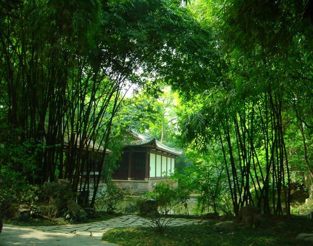 Du Fu Thatched Cottage