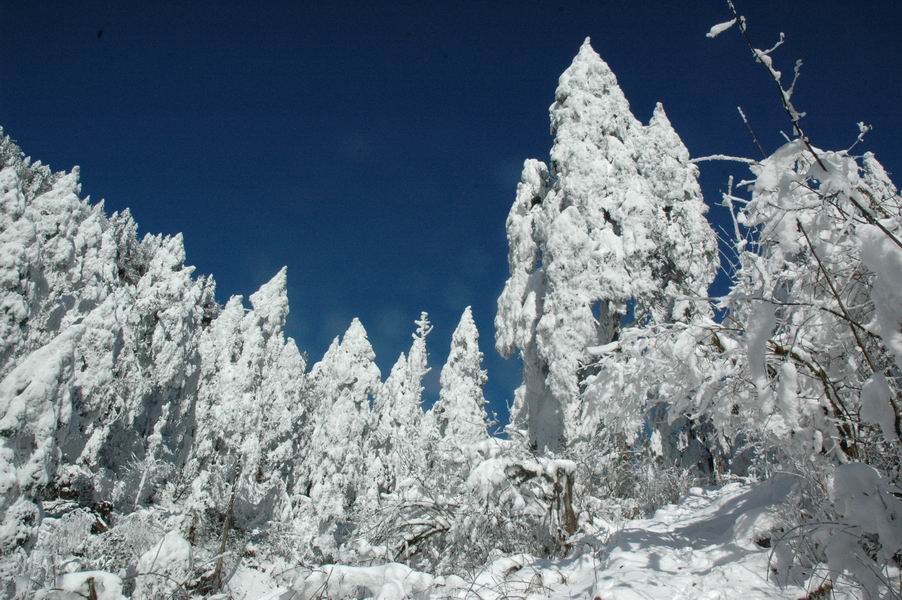 Xiling Snow Mountain